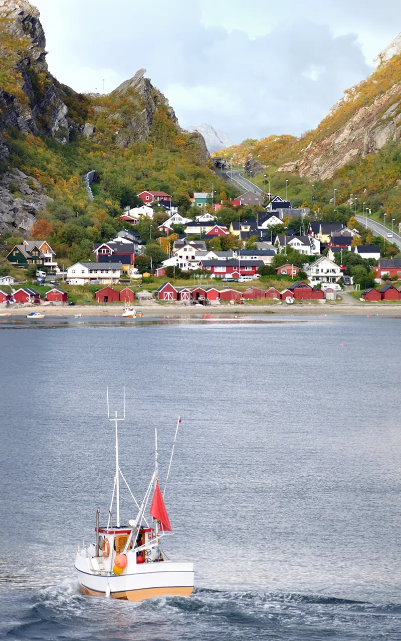 Bodø Cruises 2026–2027 | Northern Lights & Arctic | Ambassador Cruise Line