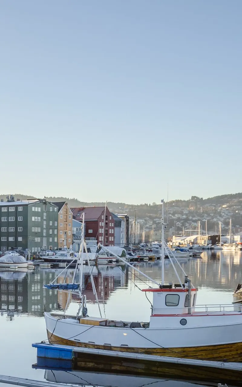 Trondheim Cruises 2026–2027 | Northern Lights & Arctic | Ambassador ...